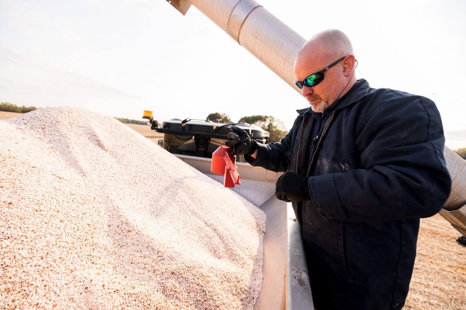 Koch Agronomic Services - WOLF TRAX™ DDP™ Micronutrients